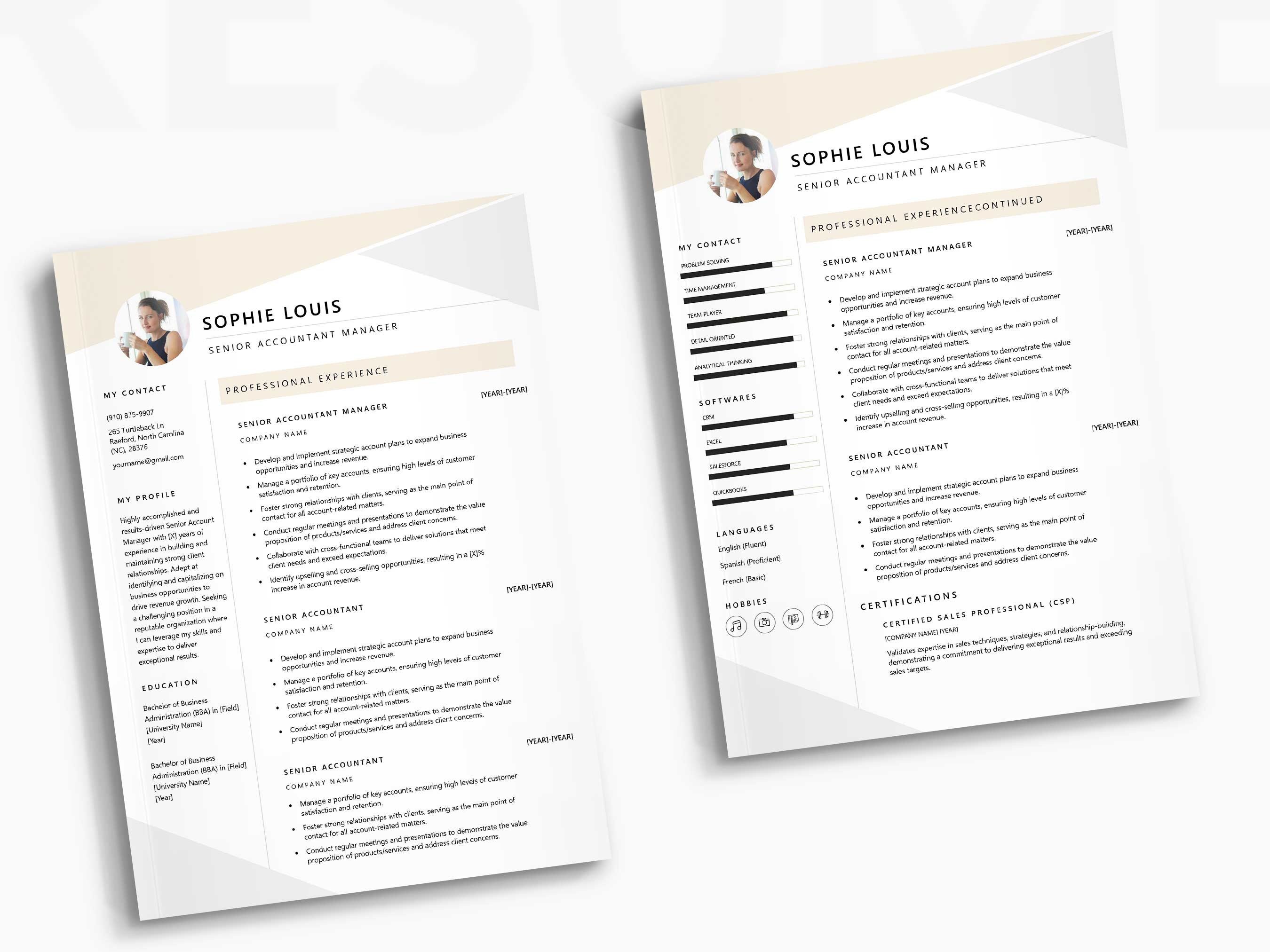 Modern Managerial Resume Template for Job Seekers, Modern Executive CV ...