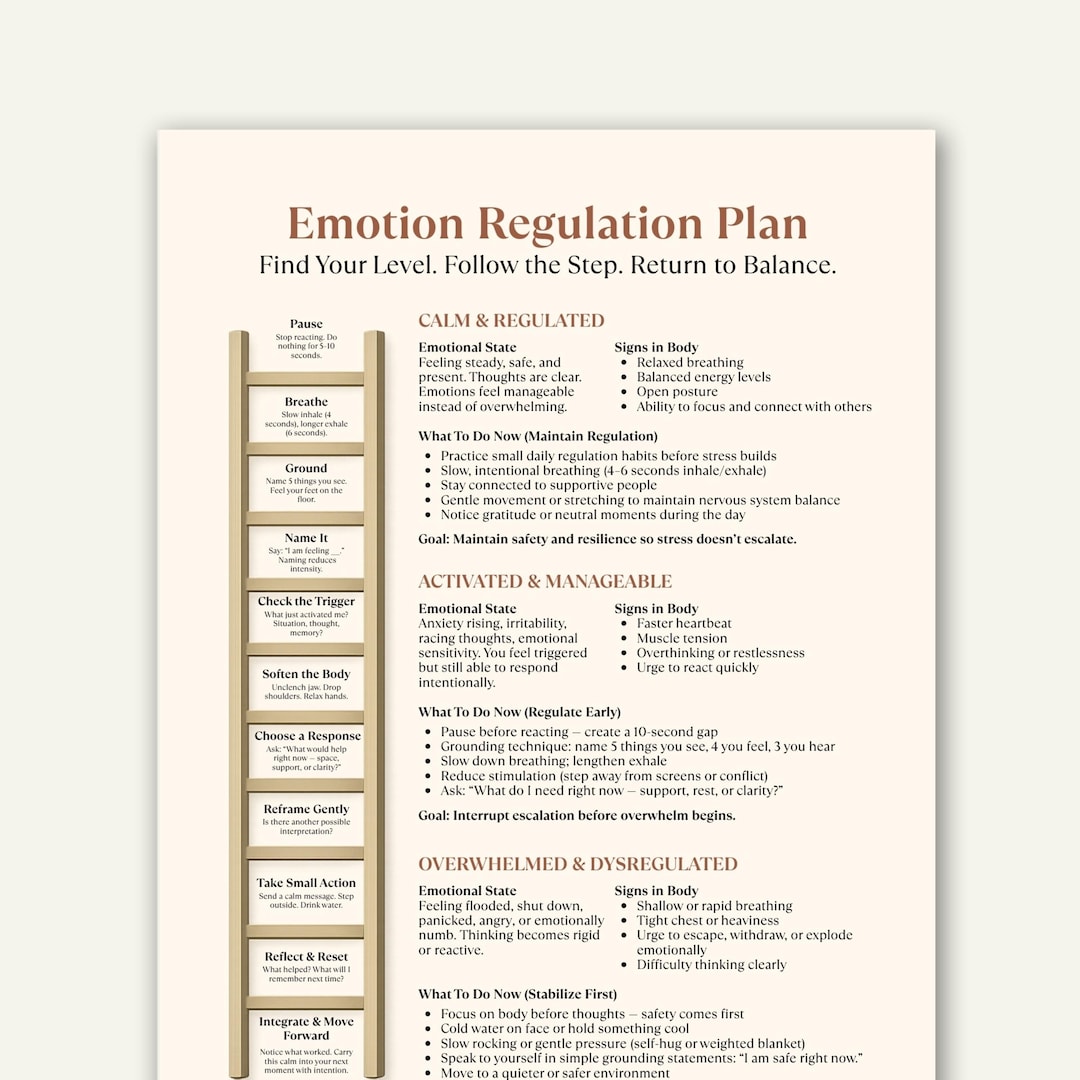 Emotion Regulation Plan Printable, Nervous System Regulation Cheat ...