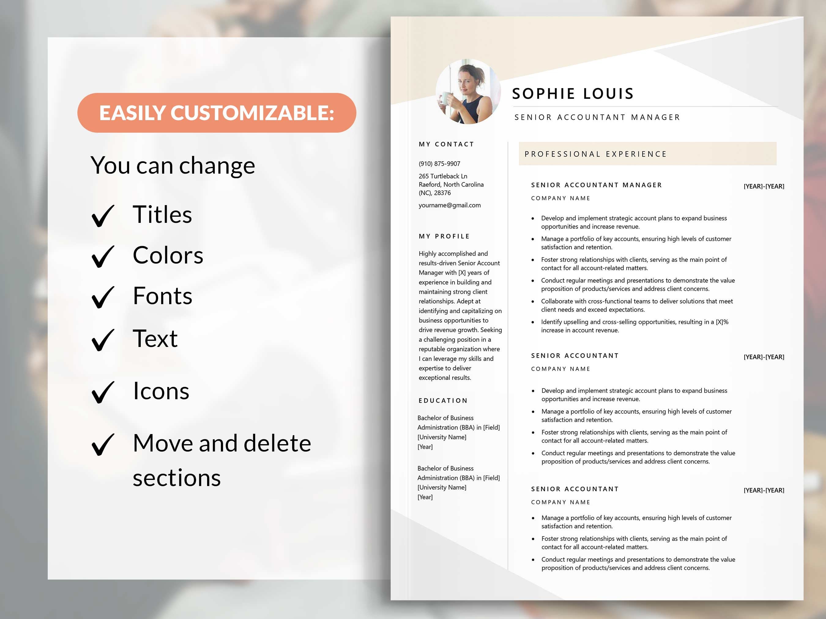 Modern Managerial Resume Template for Job Seekers, Modern Executive CV ...