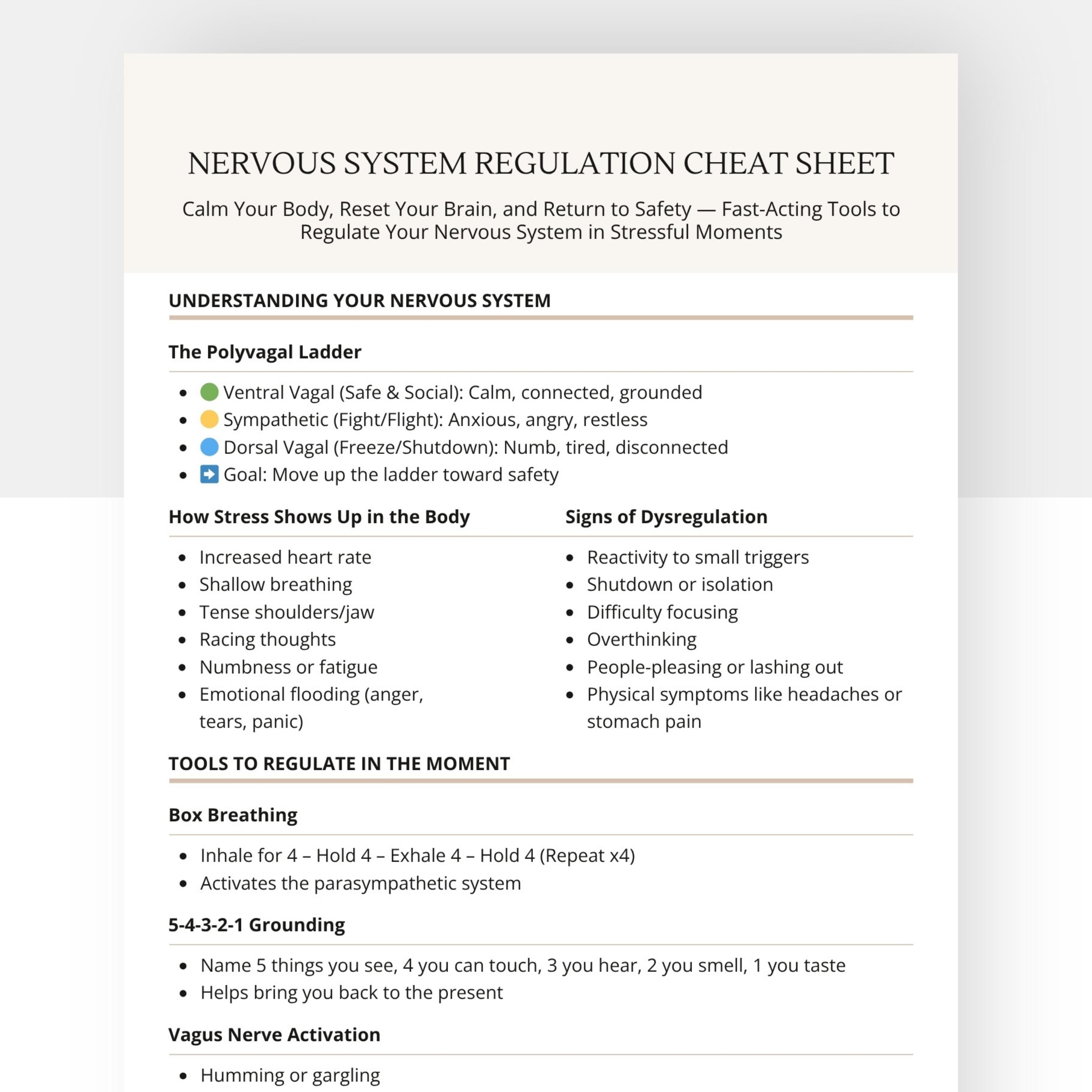 Nervous System Regulation Cheat Sheet, Polyvagal Therapy, Somatic Tools ...