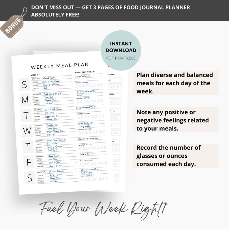 Digital Meal Plan Template for Healthy Eating, Printable Weekly Food ...