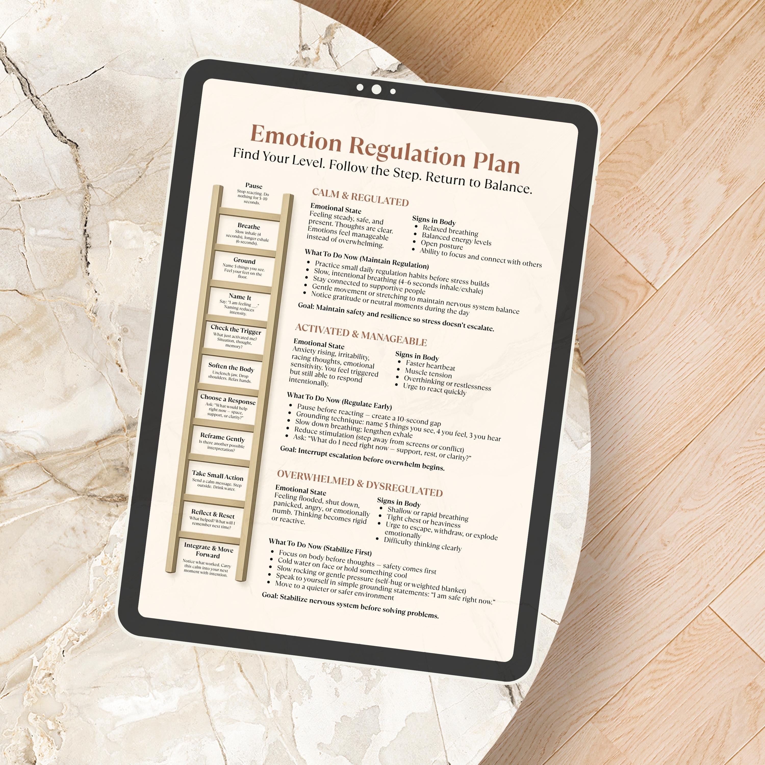 Emotion Regulation Plan Printable, Nervous System Regulation Cheat ...