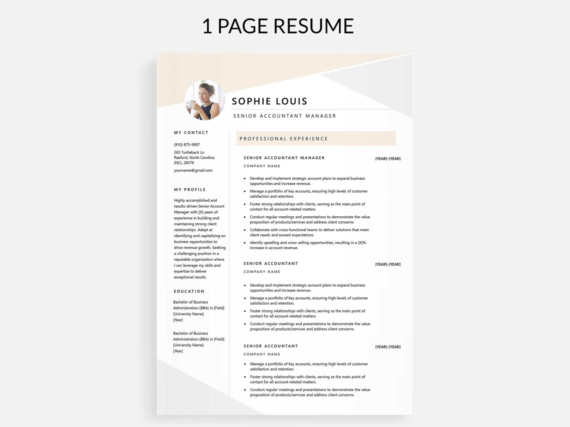 Modern Managerial Resume Template for Job Seekers, Modern Executive CV ...