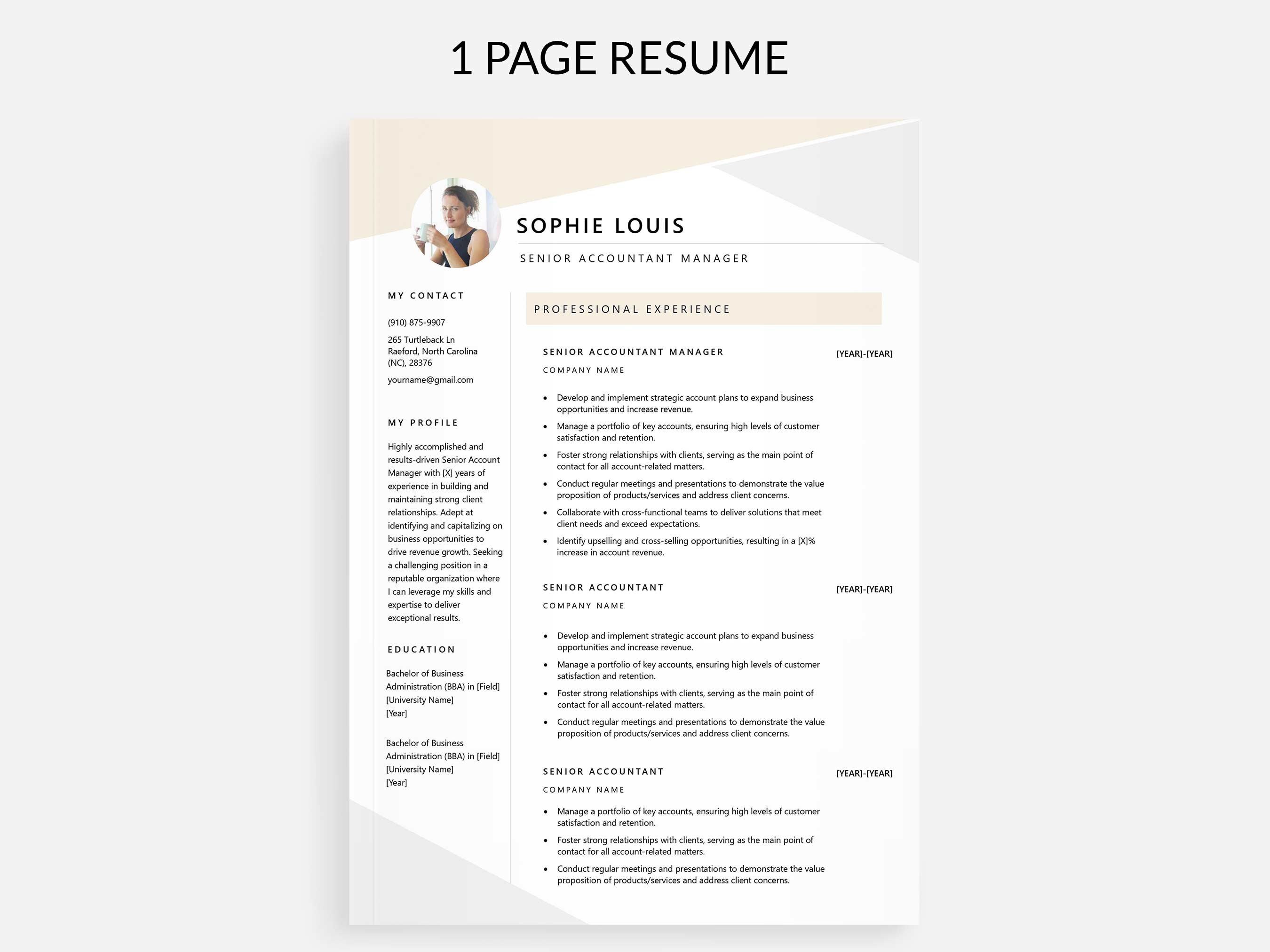Modern Managerial Resume Template for Job Seekers, Modern Executive CV ...