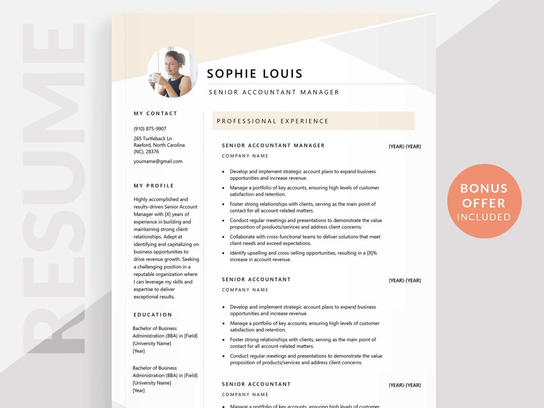 Modern Managerial Resume Template for Job Seekers, Modern Executive CV ...