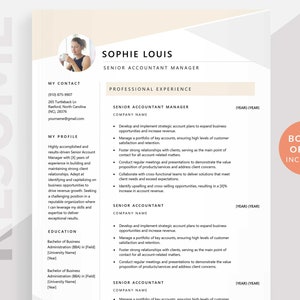 Modern Managerial Resume Template for Job Seekers, Modern Executive CV ...