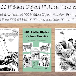 100 Hidden Object Picture Puzzles Activity Book for Adults and Teens ...