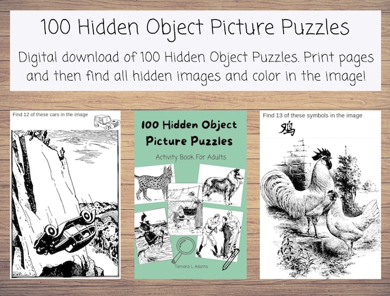 100 Hidden Object Picture Puzzles Activity Book for Adults and - Etsy