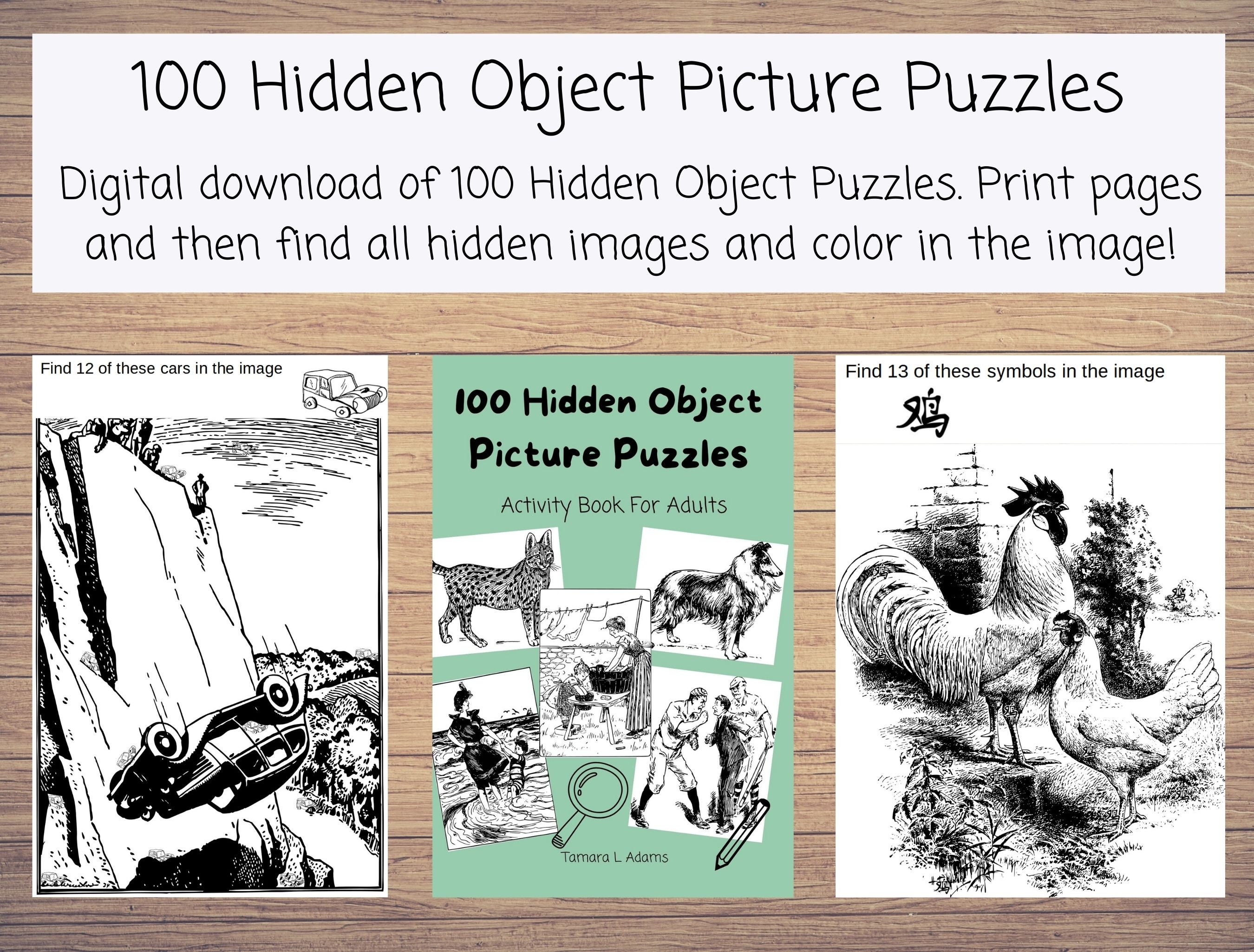 100 Hidden Object Picture Puzzles Activity Book for Adults and Teens ...