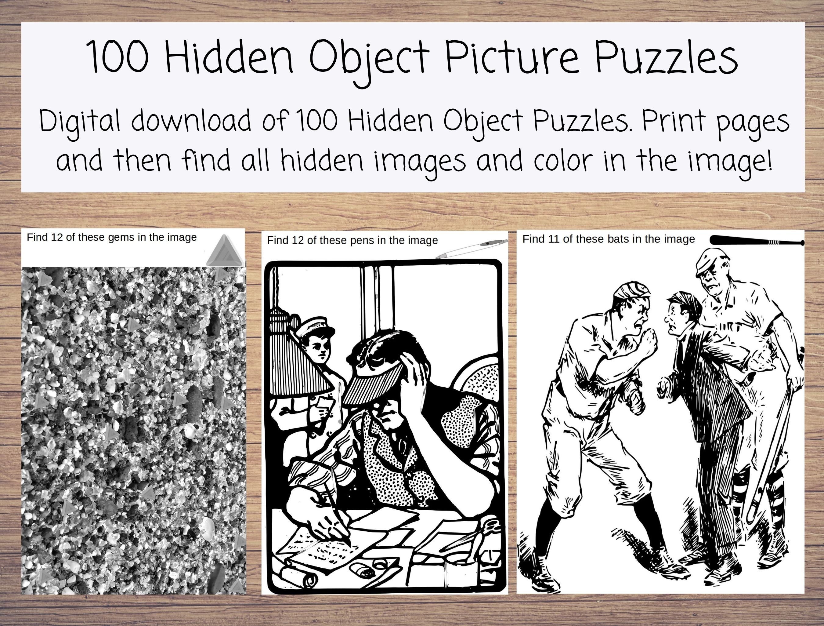 100 Hidden Object Picture Puzzles Activity Book for Adults and Teens ...