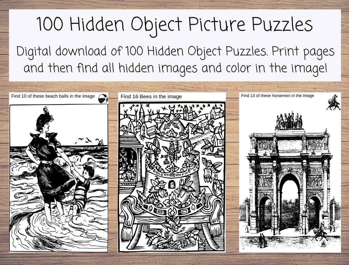 100 Hidden Object Picture Puzzles Activity Book for Adults and Teens ...
