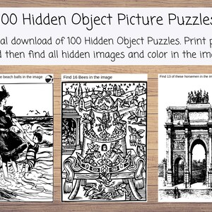 100 Hidden Object Picture Puzzles Activity Book for Adults and Teens ...