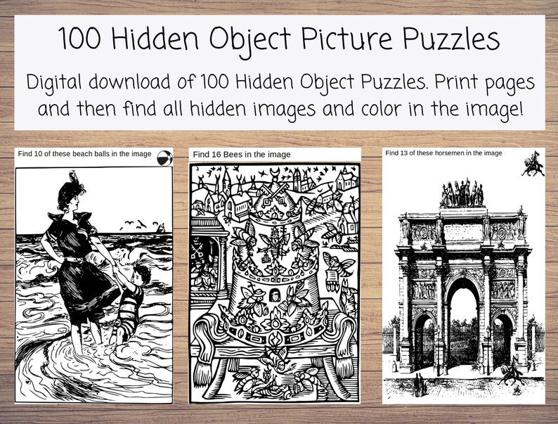100 Hidden Object Picture Puzzles Activity Book for Adults and Teens ...