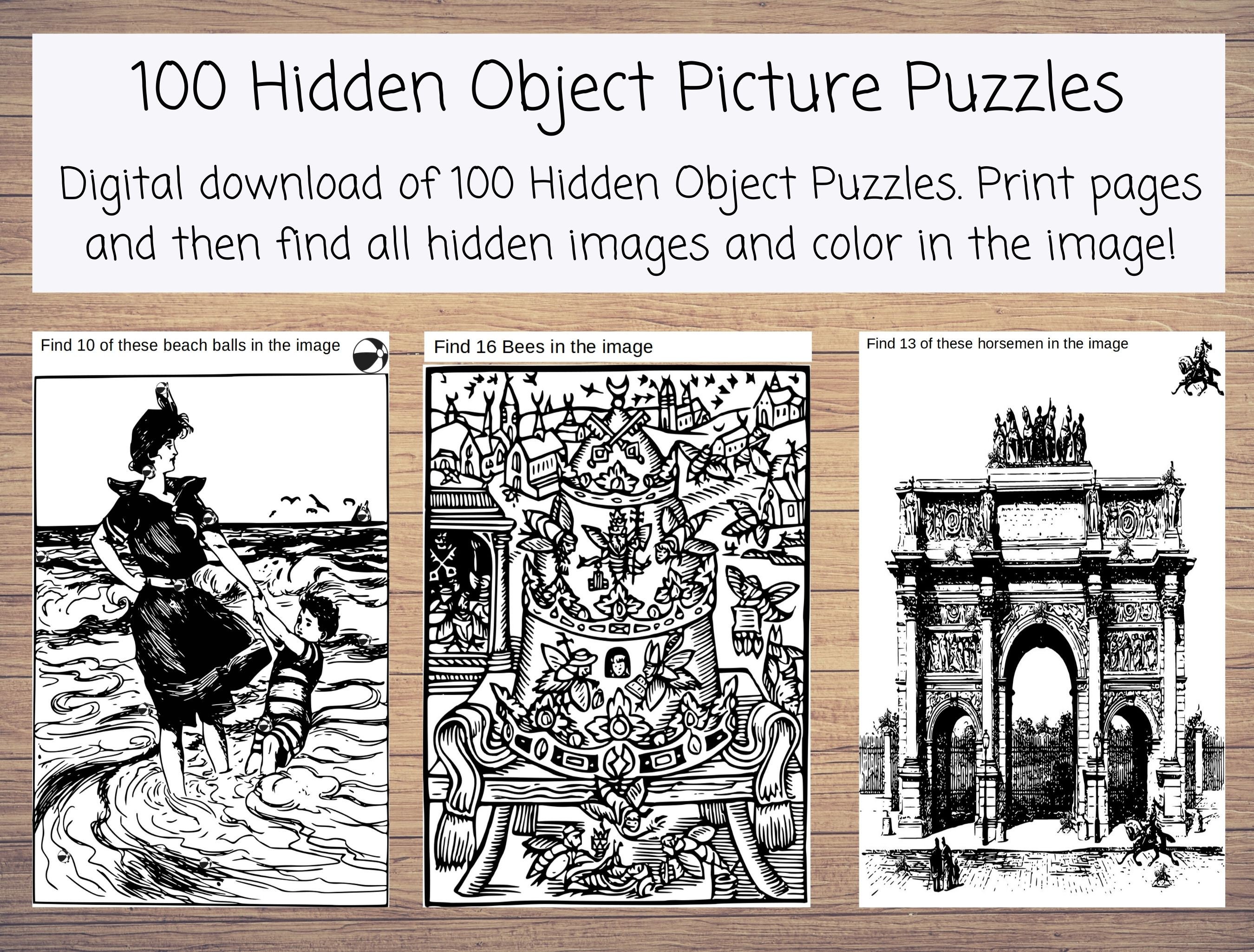 100 Hidden Object Picture Puzzles Activity Book for Adults and Teens ...
