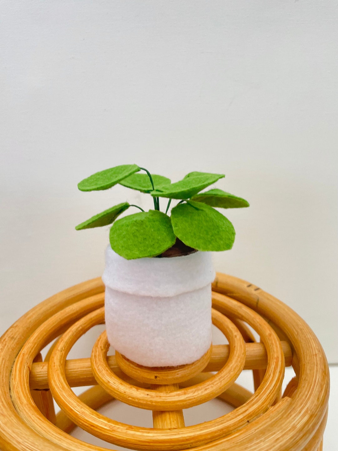 Custom Felt Pilea Plant – Unique Faux Botanical Decor for Your Home - Etsy