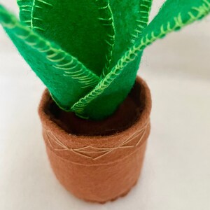 Unique Handcrafted Felt Snake Plant | Decorative Textile Plant ...