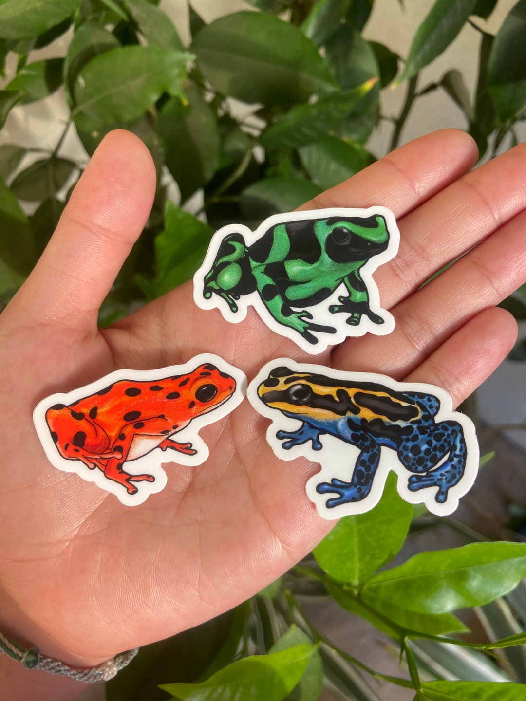 Poison Dart Frog Stickers Water-resistant Vinyl Material - Etsy