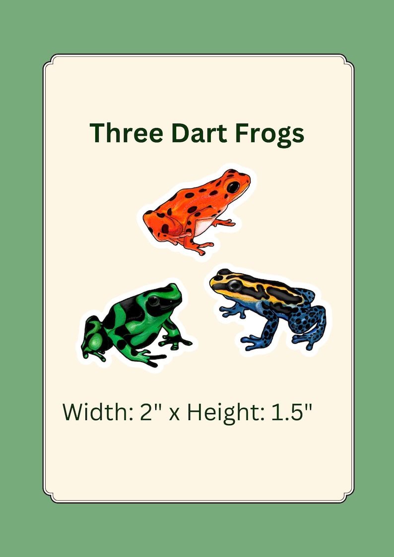 Poison Dart Frog Sticker | Water-resistant Vinyl Decal - Etsy