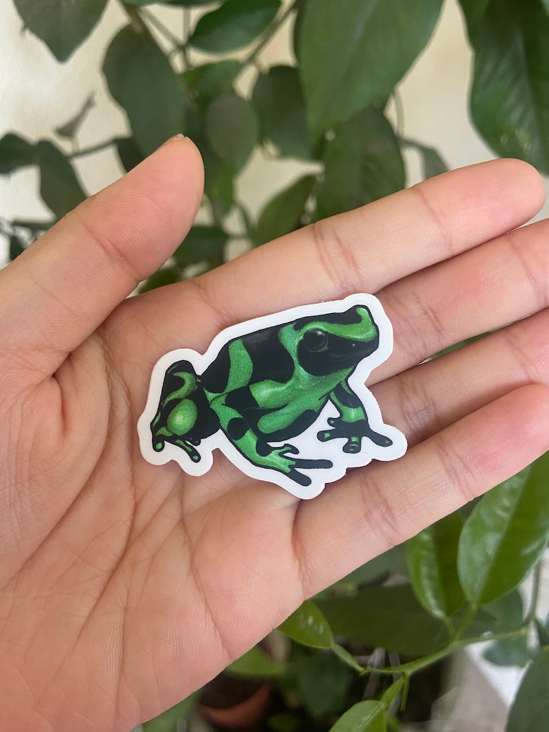 Poison Dart Frog Sticker | Water-resistant Vinyl Decal - Etsy
