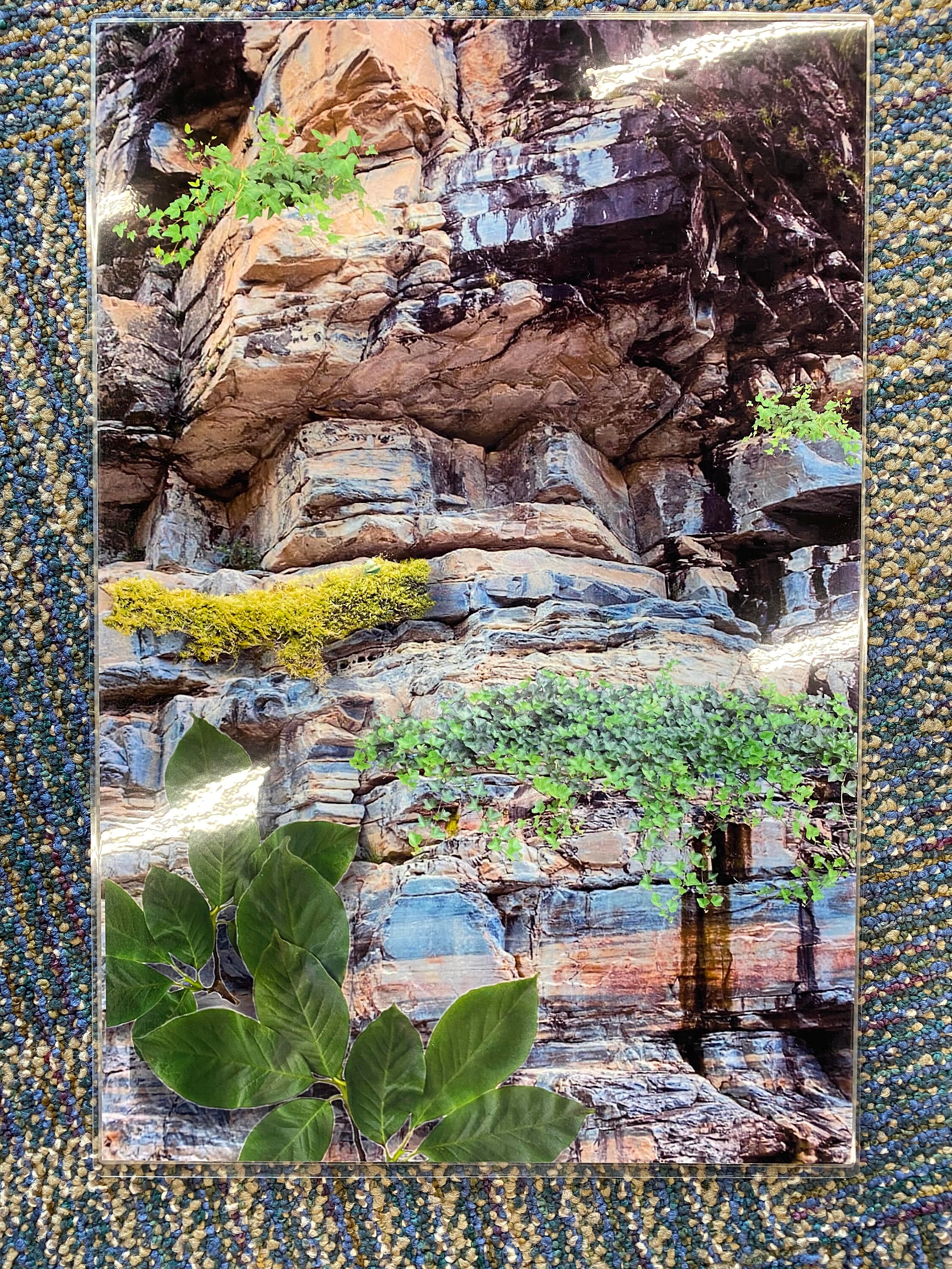 Terrarium desert background - Etsy France