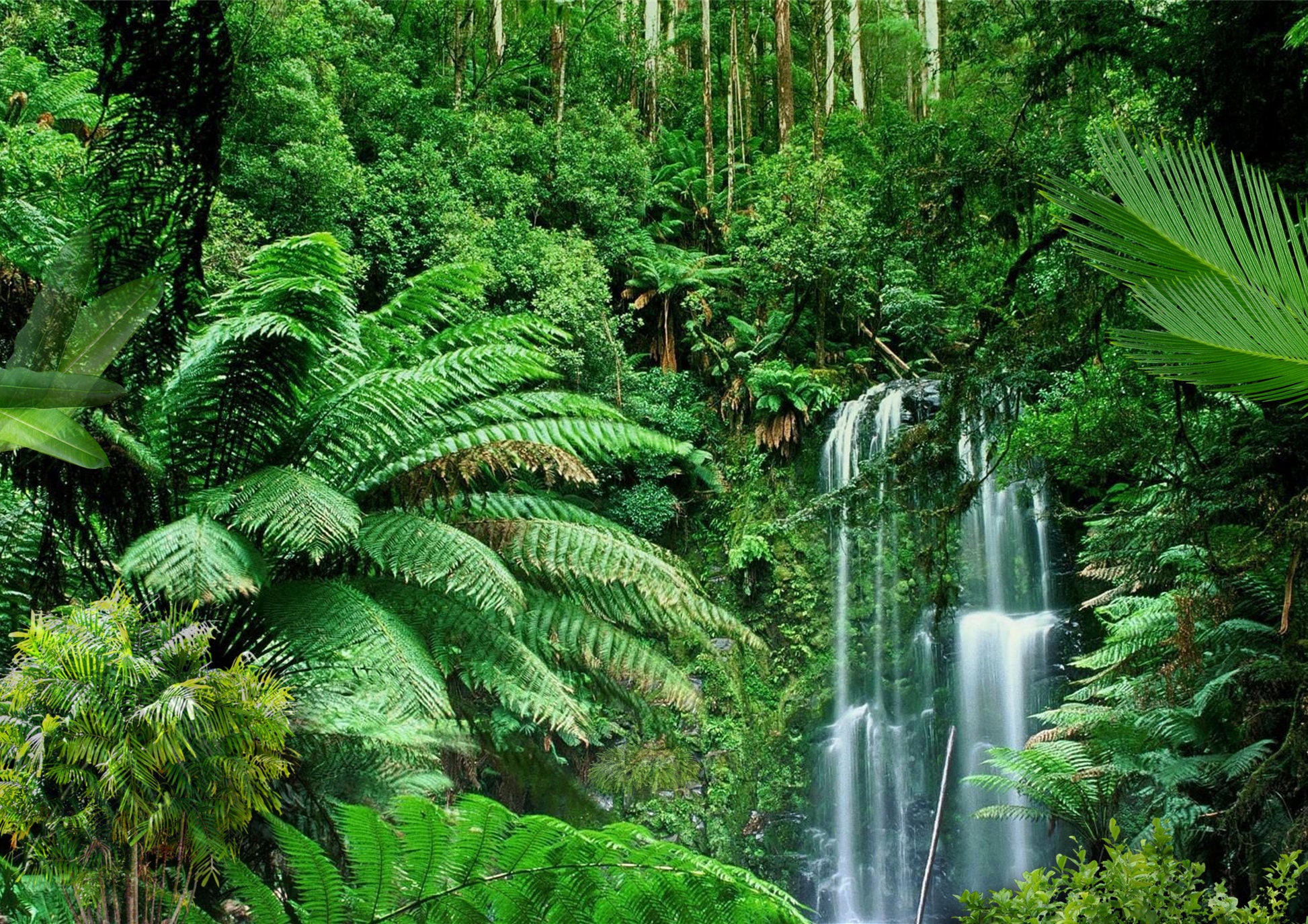 Printable Terrarium Enclosure Backdrop/background - Etsy