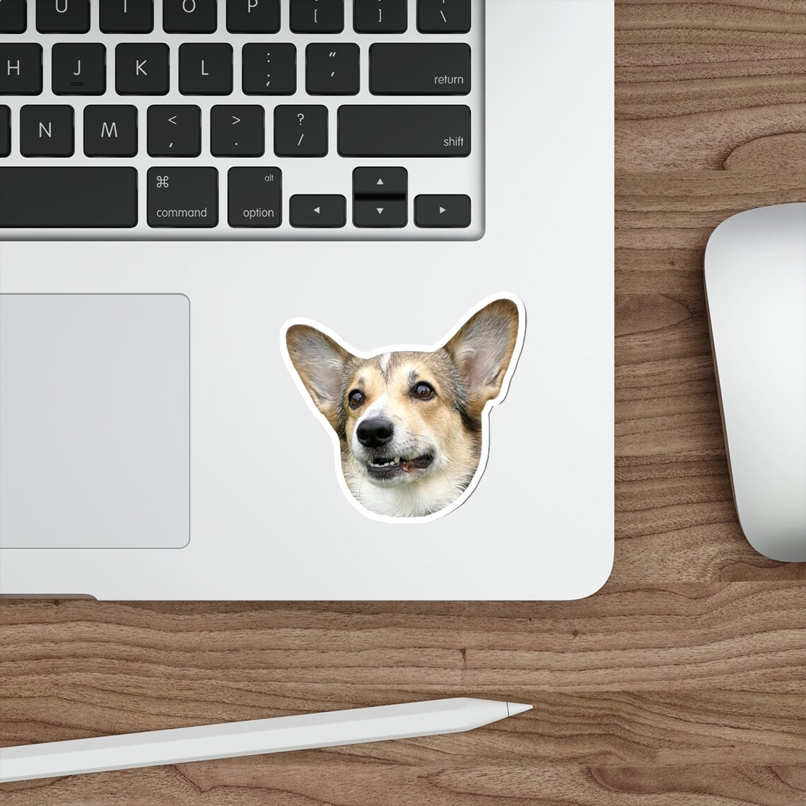 Concerned Corgi Die-cut Stickers, Funny Corgi Vinyl Sticker, Welsh ...