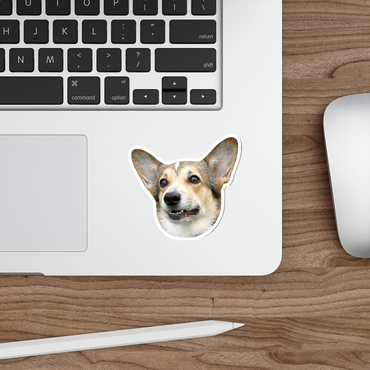 Concerned Corgi Die-cut Stickers, Funny Corgi Vinyl Sticker, Welsh ...