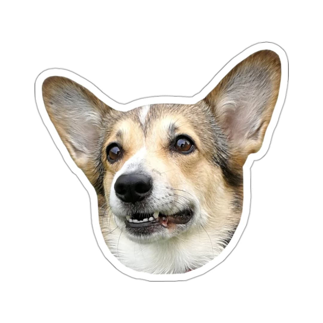 Concerned Corgi Die-cut Stickers, Funny Corgi Vinyl Sticker, Welsh ...