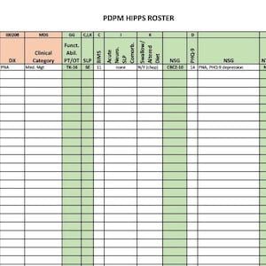 Patient Roster and Cheat Sheet. PDPM HIPPS Code Skilled Roster - Etsy