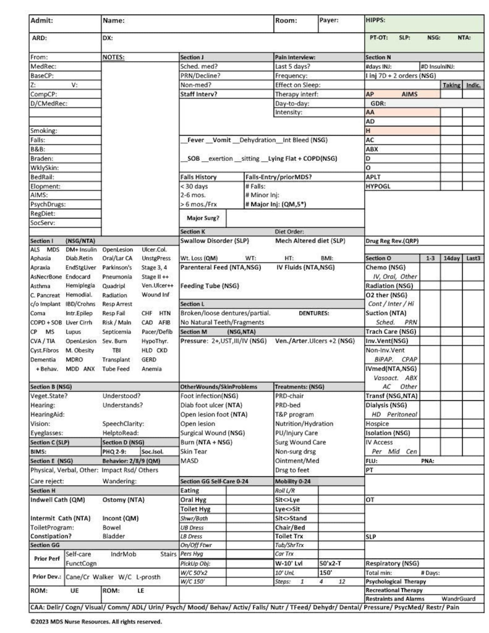 Updated MDS Worksheet PDPM Focus. - Etsy