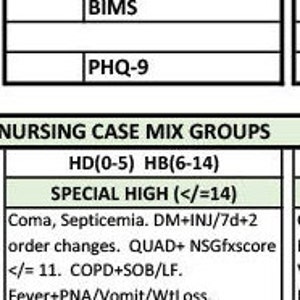 PDPM Projection Worksheet | Etsy