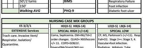 PDPM Projection Worksheet | Etsy