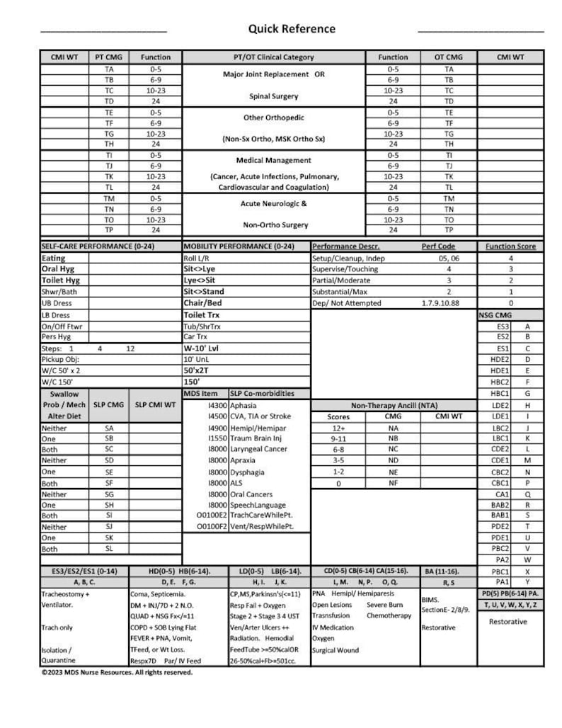 FY26_PDPM HIPPS Code Quick Reference: Health Insurance10.1.25 - Etsy