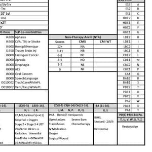 FY26_PDPM HIPPS Code Quick Reference: Health Insurance10.1.25 - Etsy