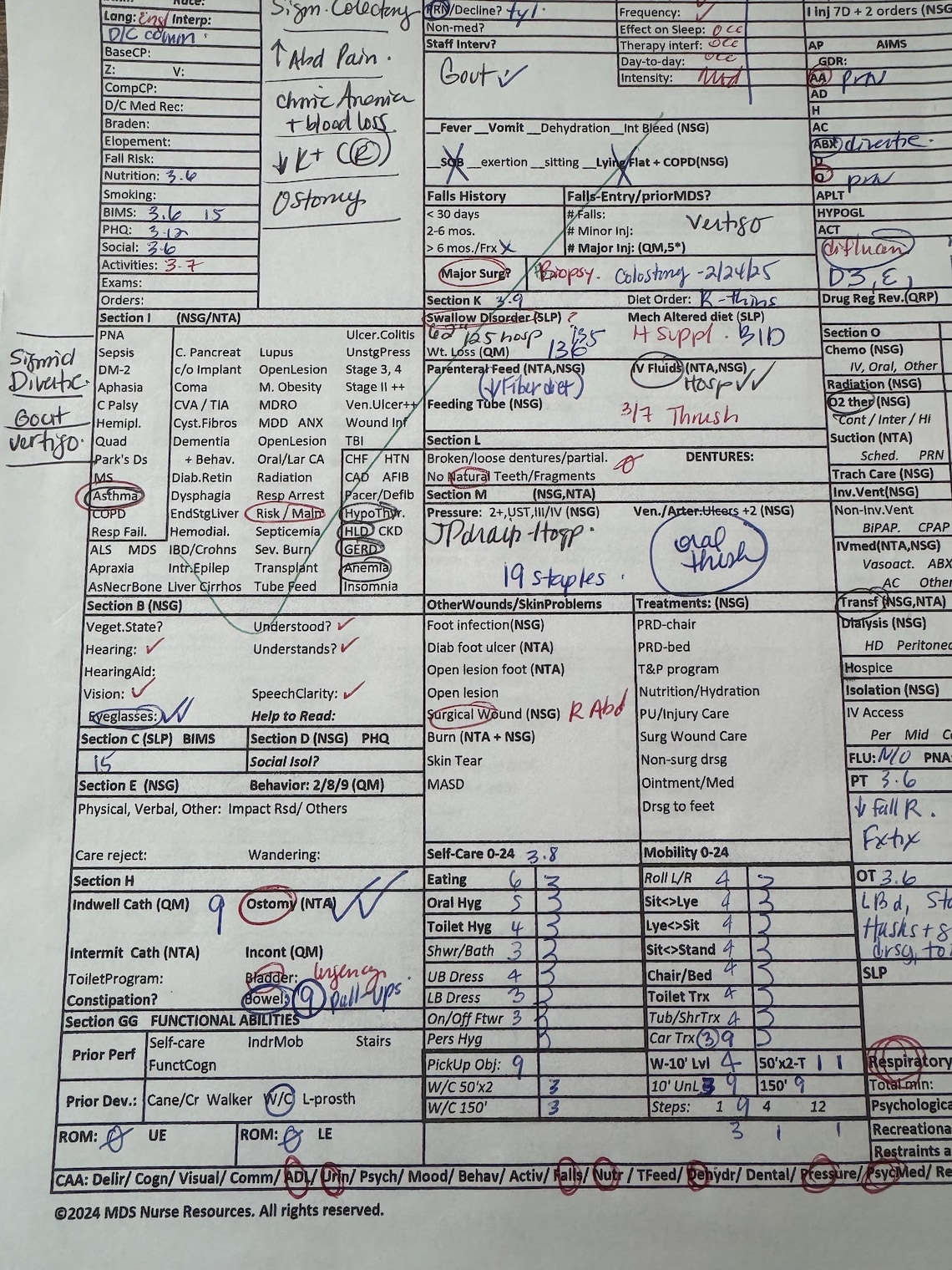FY26_MDS PDPM Worksheet Combo With Projection_caa_10.1.25 - Etsy