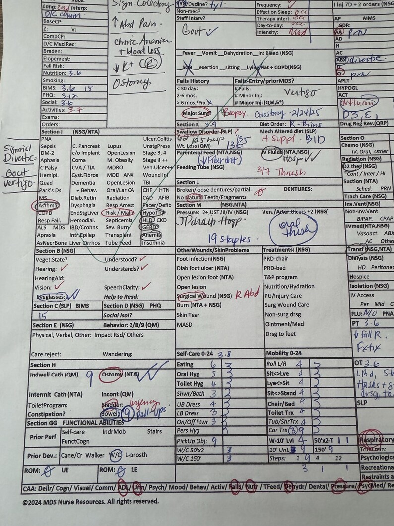 FY26_MDS PDPM Worksheet Combo With Projection_caa_10.1.25 - Etsy