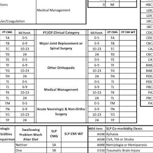Patient Roster and Cheat Sheet. PDPM HIPPS Code Skilled Roster - Etsy