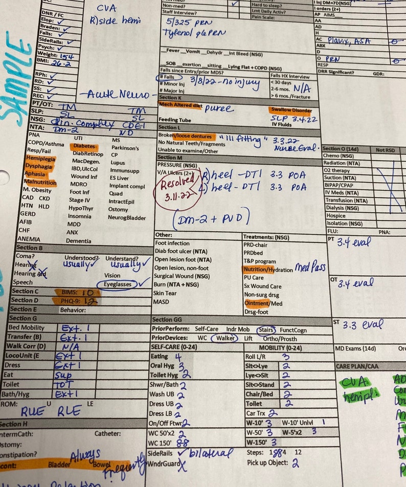 MDS Worksheet (pdpm-focused) - Etsy