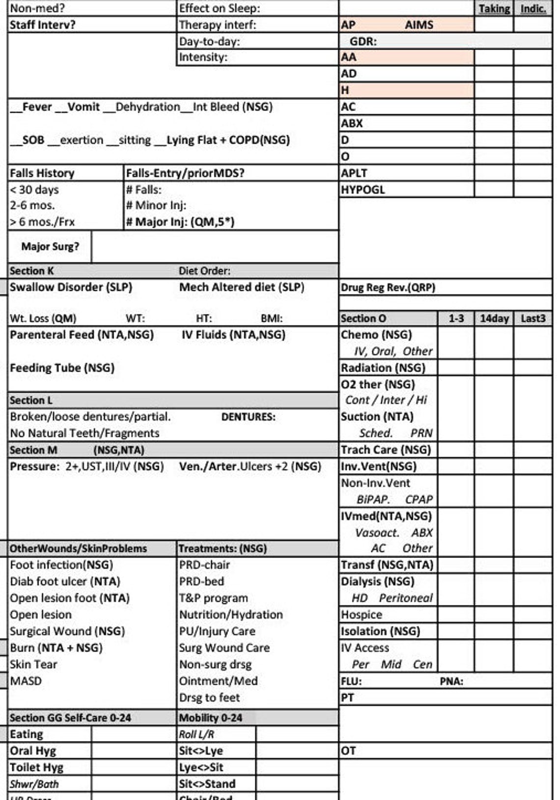 Updated MDS Worksheet PDPM Focus. - Etsy