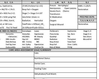 Updated MDS Worksheet PDPM Focus. - Etsy