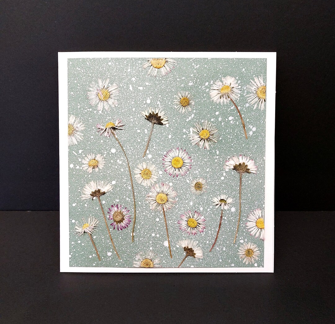 Daisy Card Real Pressed Flowers not a Print - Etsy