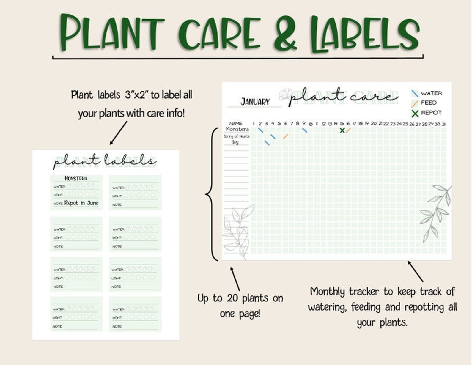 Plant Care Guides White Plant Tracker Diary Wish List Indoor Plant ...