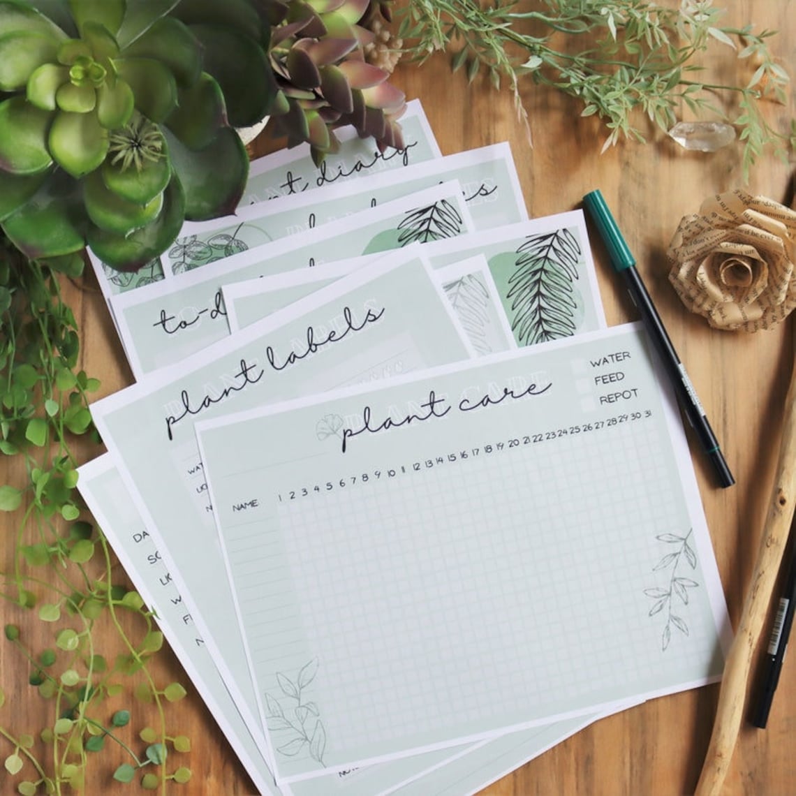 Plant Care Guides Plant Tracker Diary Wish List House Plant Plant ...