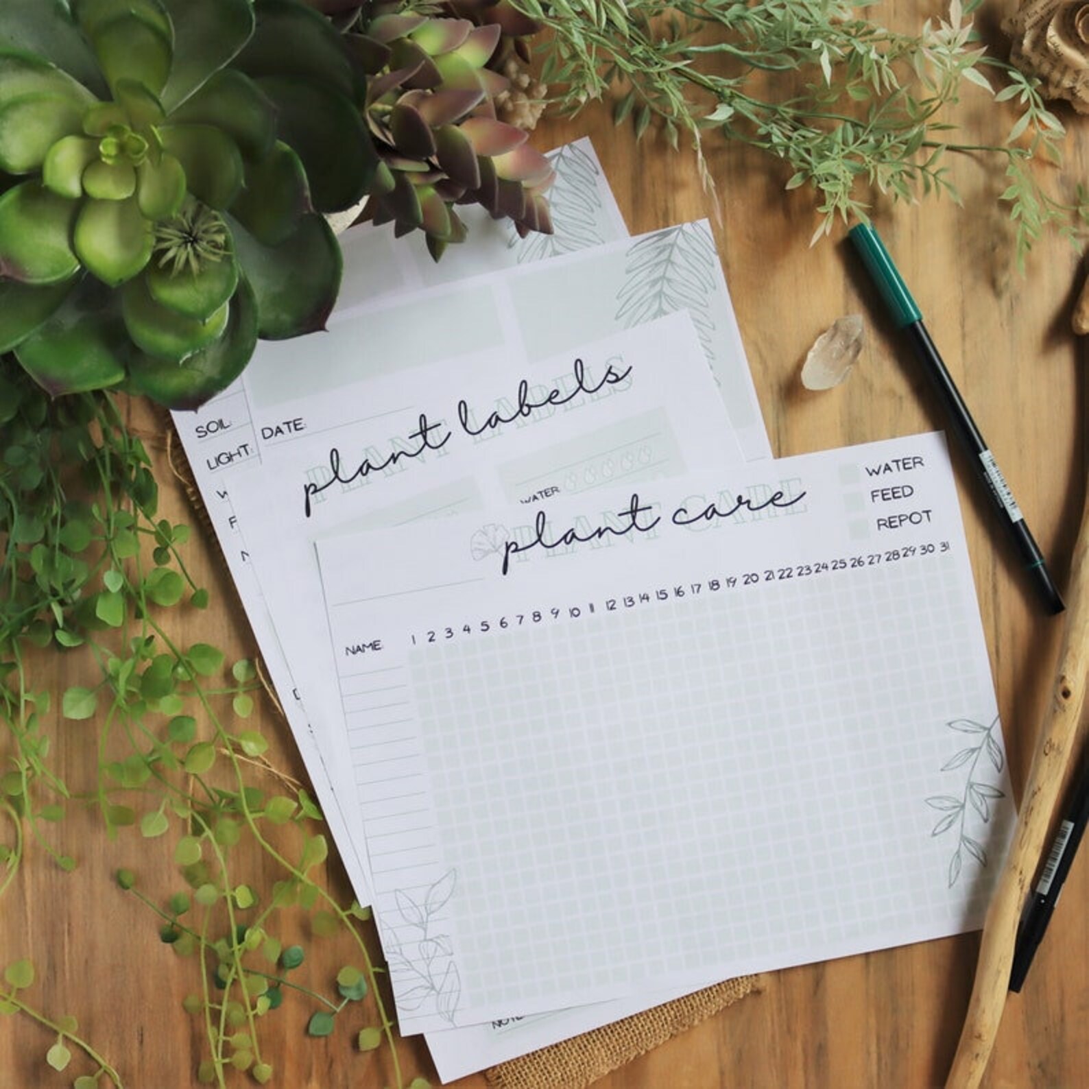 Plant Care Guides White Plant Tracker Diary Wish List Indoor Plant ...