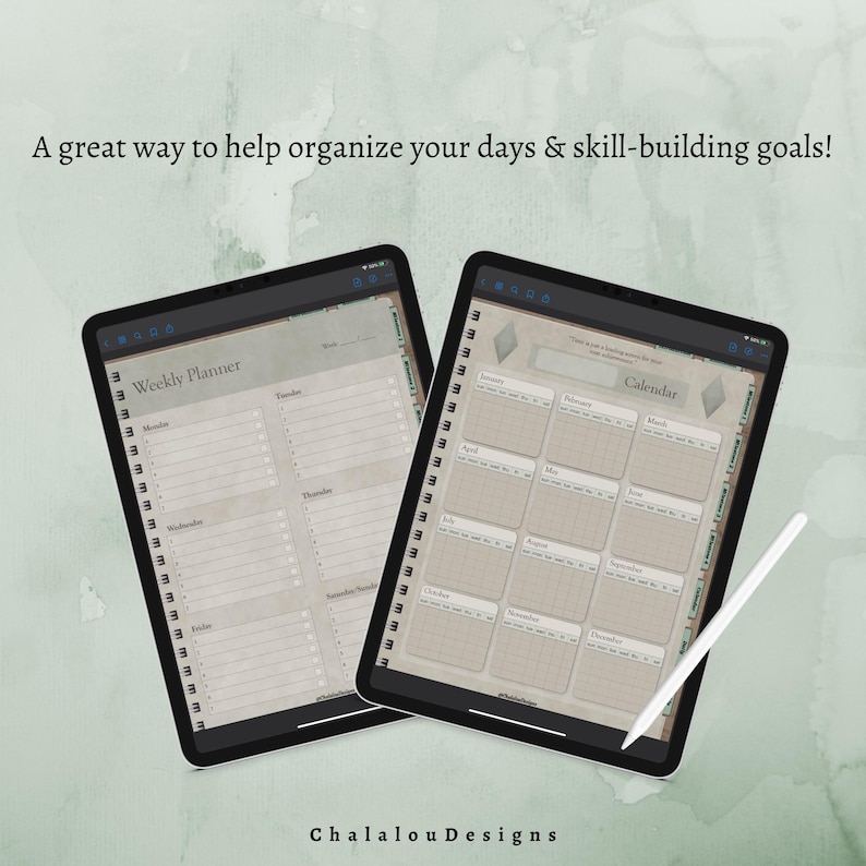 Renaissance Sim Digital Planner | Skill-building & Goal-tracking ...