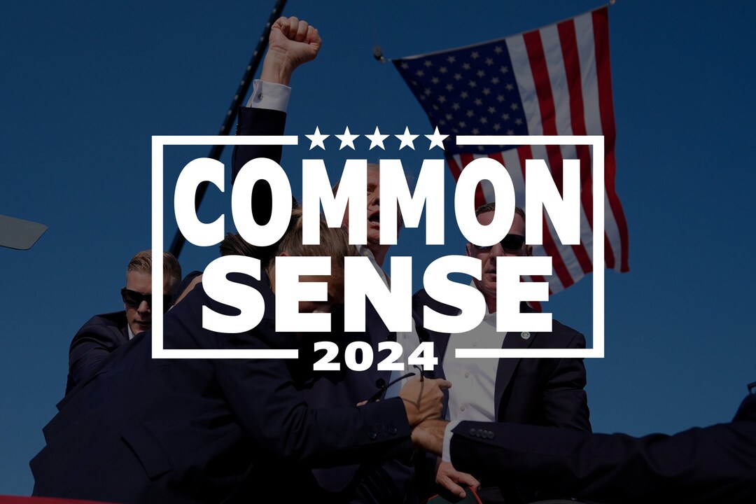 Common Sense 2024, Common Sense Decal, Common Sense Sticker, MAGA ...