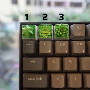 Succulent Artisan Keycap, Artisan Keycap, Plant Succulent Keycap ...