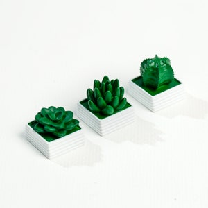 Succulent Artisan Keycap, Artisan Keycap, Plant Succulent Keycap ...