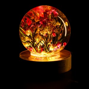 Baby Breath Flower in Crystal Ball Night Light, Real Flower Epoxy Lamp ...