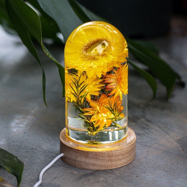 Sunflower Daisy - Etsy